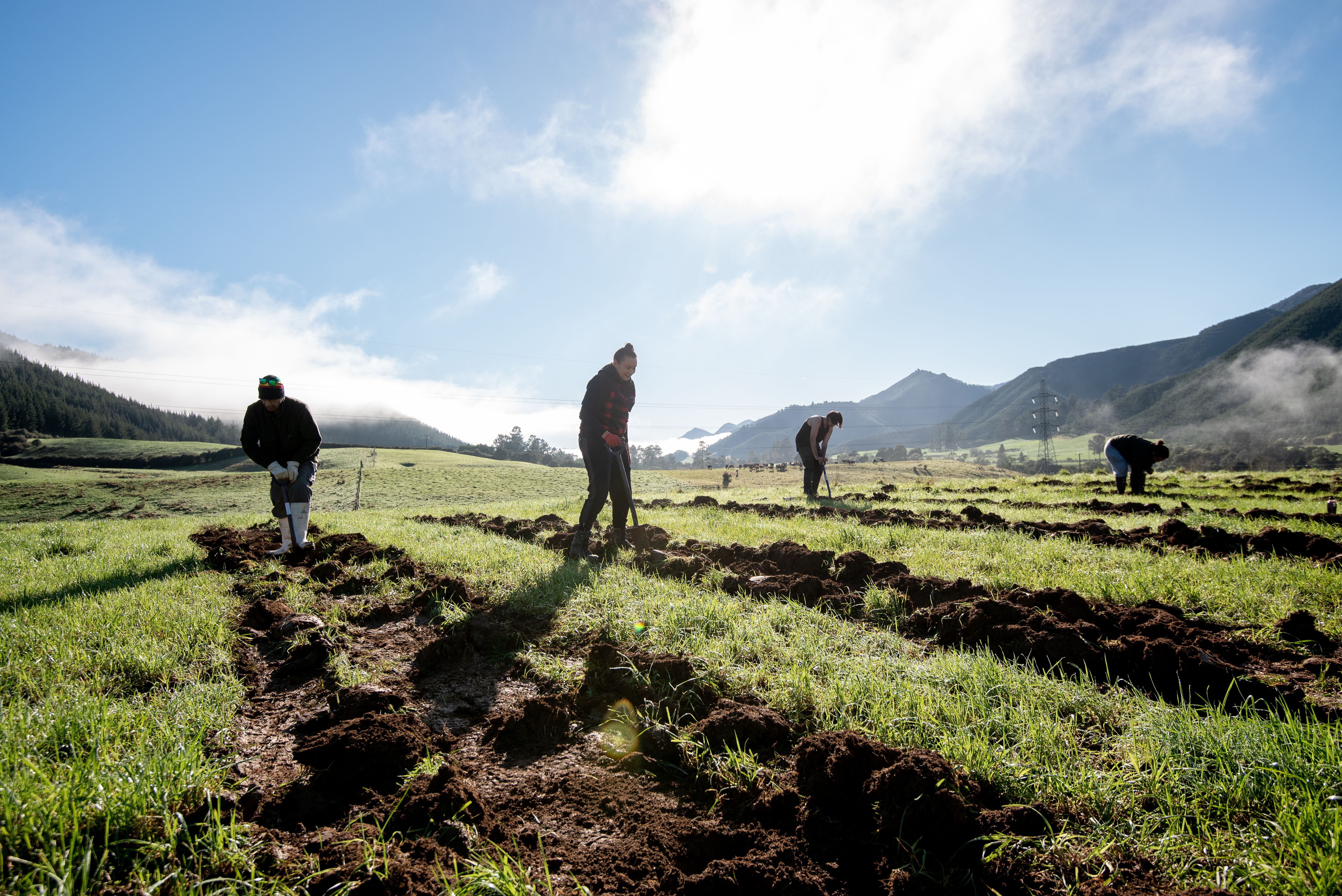 Restoration Crew | Ngāti Kuia
