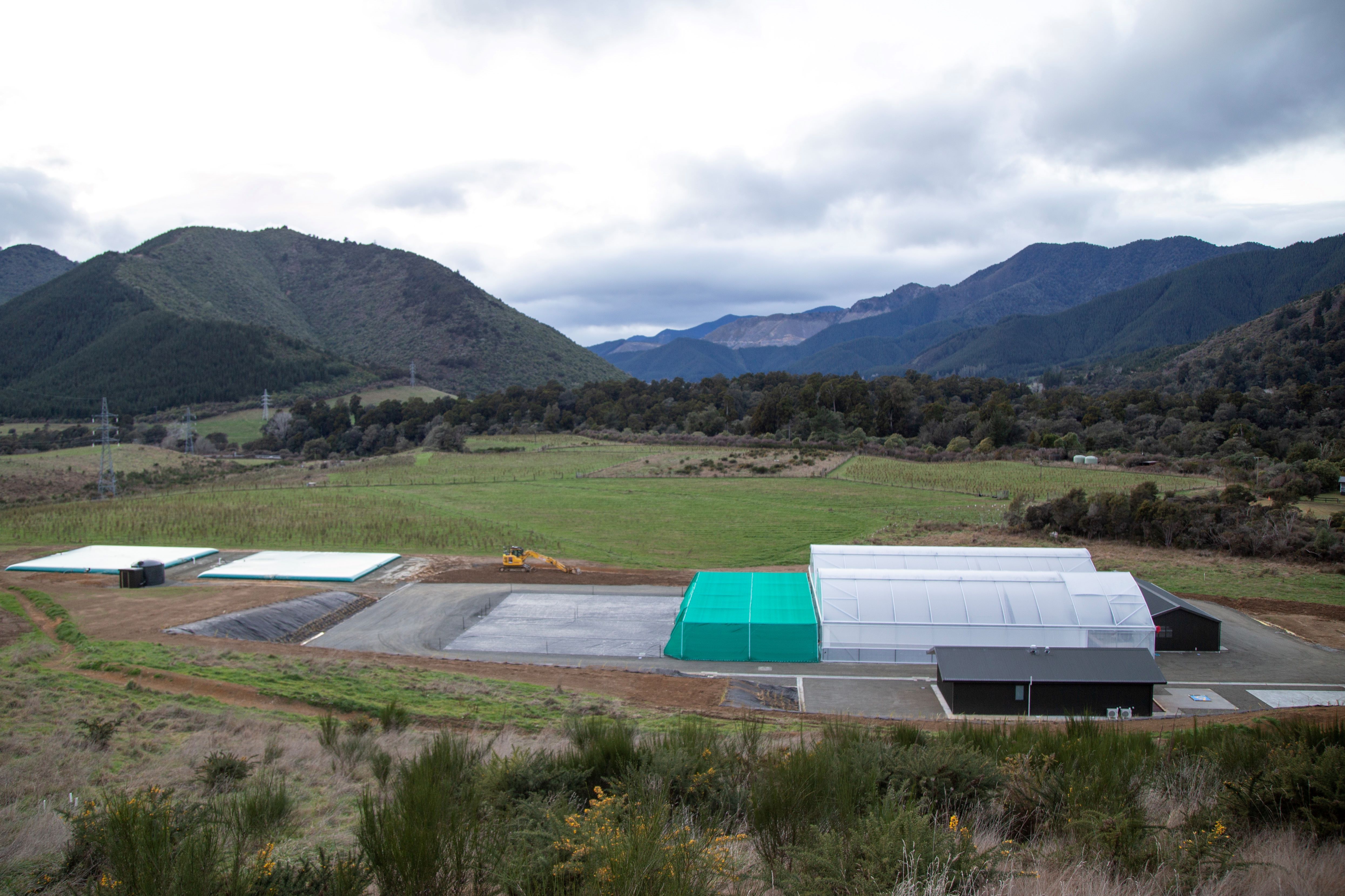 Native Nursery | Ngāti Kuia